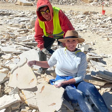 Image result for Fossil Digging