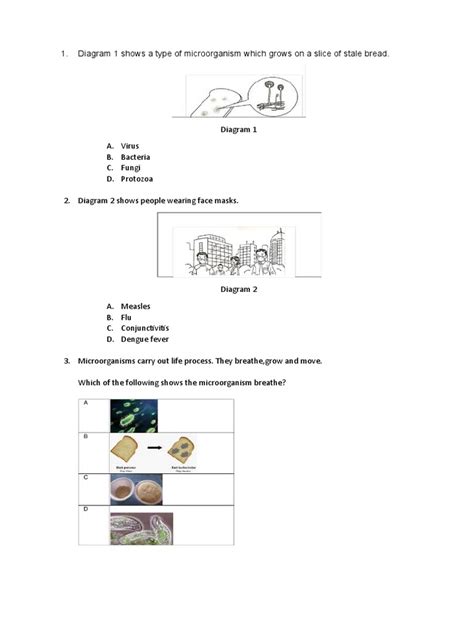 Image result for Moderation Science Example for Year 6