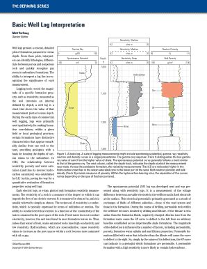 Image result for Basic Well Log Interpretation