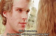 Image result for True Love Inverted Princess Bride