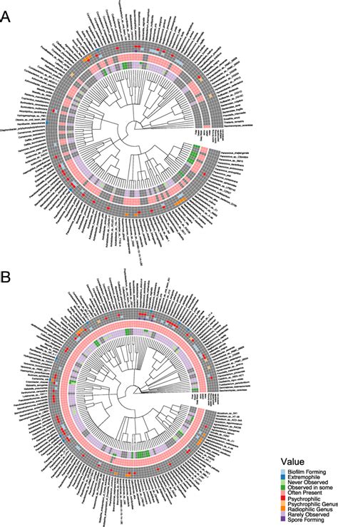Image result for Microbial Profiling of the Samples