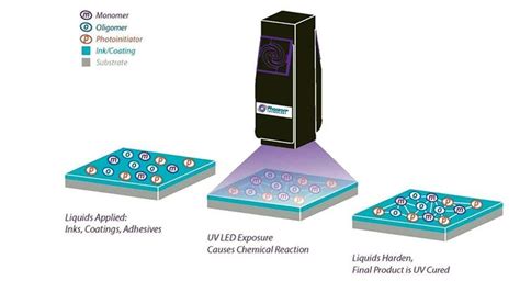 Image result for Ultraviolet Photography Examples