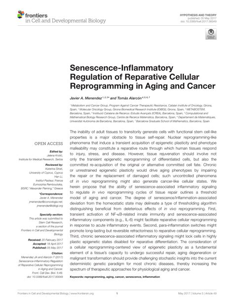 Image result for Senescence Reprogramming