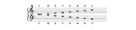 Image result for Reading Bass Clef Notes