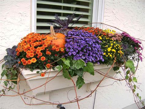 Image result for Fall Window Box Decorating