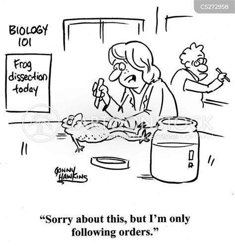 Image result for Dissection Cartoon