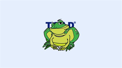 Image result for How to Tune Using Toad Pro Software