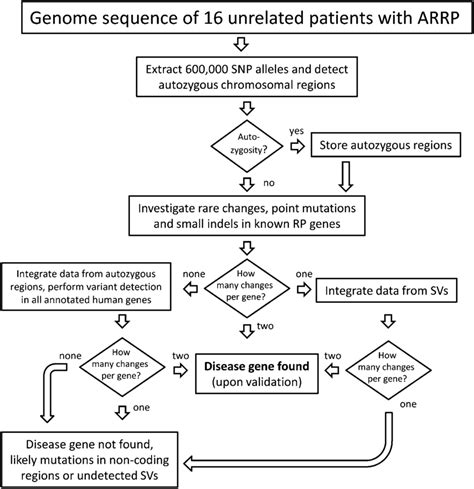Image result for Homomorphic Filtering Flowchart