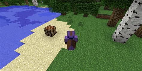 Image result for Minecraft Normal Wing