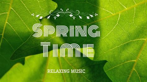 Image result for Calm Spring Music