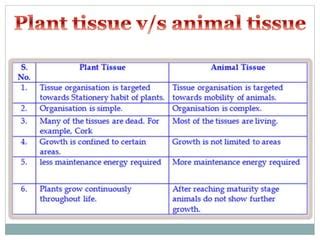 Image result for Class 9 Science Chapter Tissue
