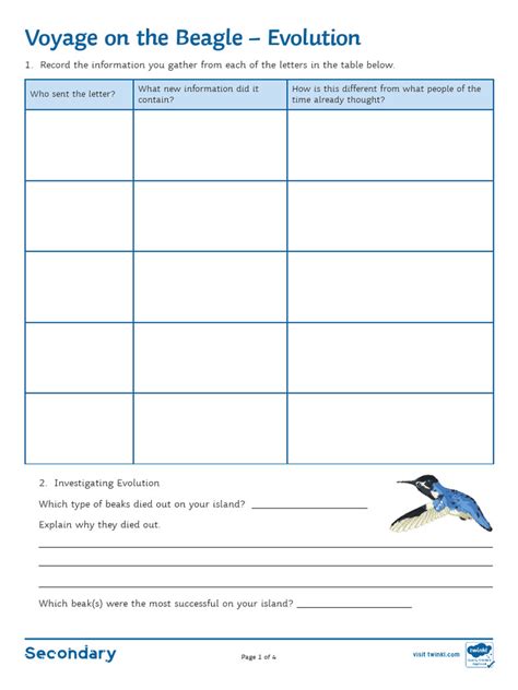 Image result for Evolution Activities Grade 12