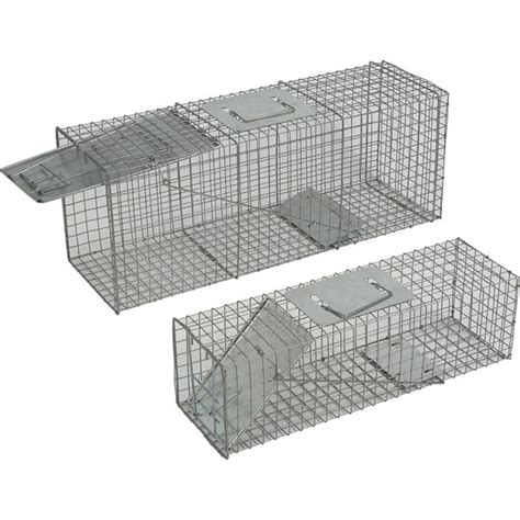 Image result for Simple Lizard Trap