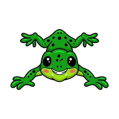 Image result for Simple Cartoon Frog