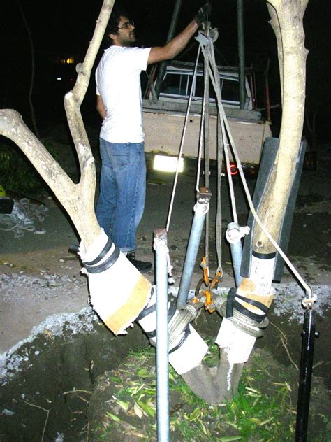 Image result for Engine Lift On a Tree