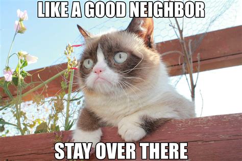 GrumpyCat.meme