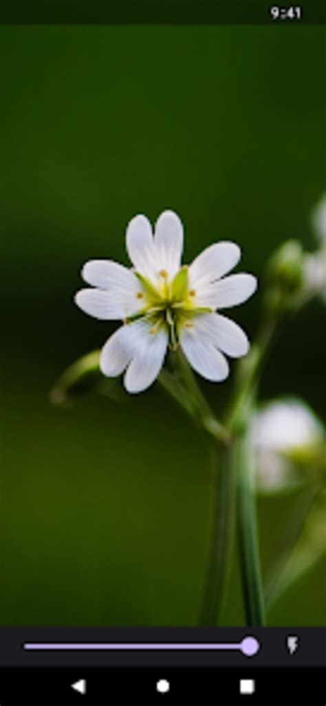 Image result for Magnifier App Android