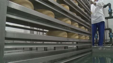 Image result for Cheese Making Process Video