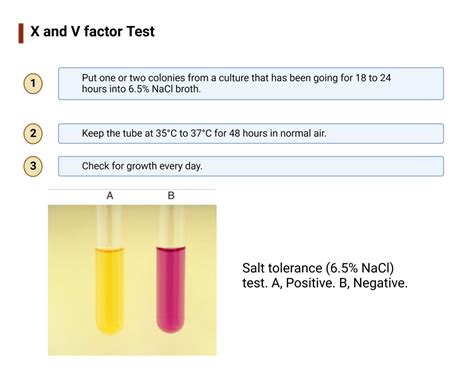 Image result for Salt Test