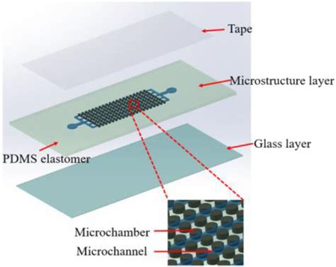 Image result for Chip Tutorial