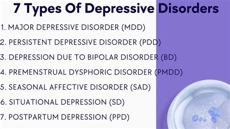 Image result for Types of Depression Disorders