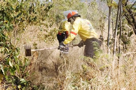 Image result for Basic Firefighting