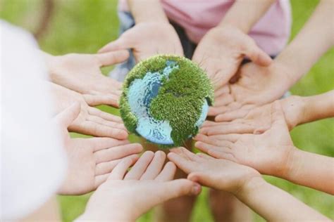 Image result for Proper Waste Disposal Methods