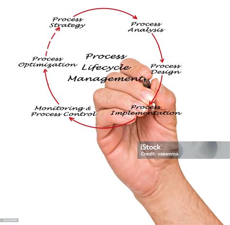 Image result for Lifecycle Management Process