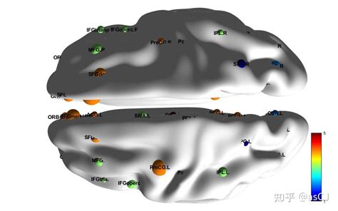 Image result for BrainNet Viewer Mapping File English