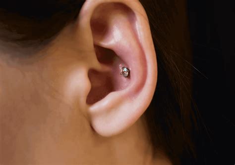 Image result for Conch Piercing