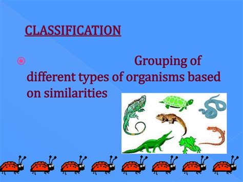 Image result for AronRa Systematic Classification System