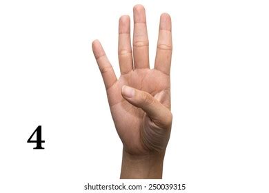 Image result for Five Sign Language