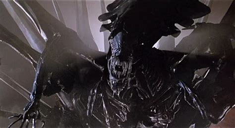 Image result for Alien Queen Bee