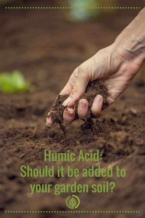 Image result for How to Apply Humic Acid