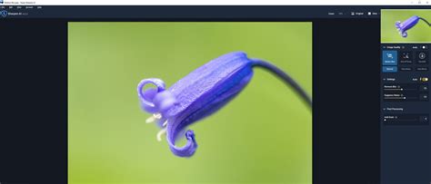 Image result for Topaz Labs Sharpen AI Tutorial