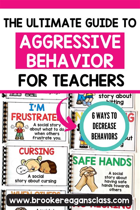 Image result for Aggressive Behavior