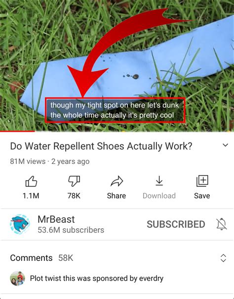 Image result for How to See Transcript YouTube