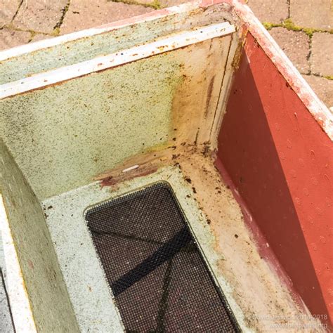 Image result for Poly Nuc Box