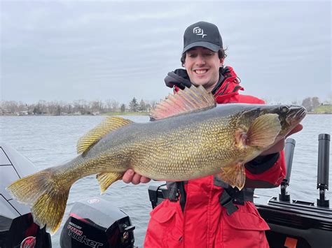 Image result for Streamer Fly Patterns