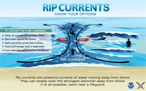 Image result for Identifying Rip Currents