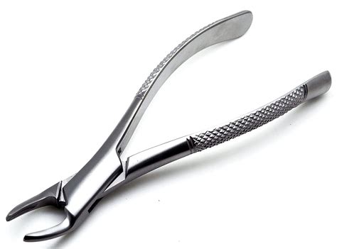 Image result for Extracting Forceps