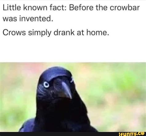 Image result for Counting Crows Meme