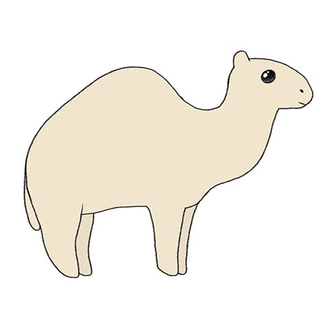 Image result for Camel Drawing Tutorial
