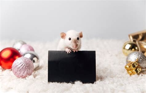 Image result for Mouse Decor Mod