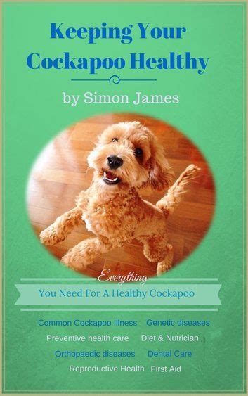 Image result for Cockapoo Caring