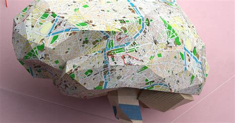 Image result for The Human Brain Map Project