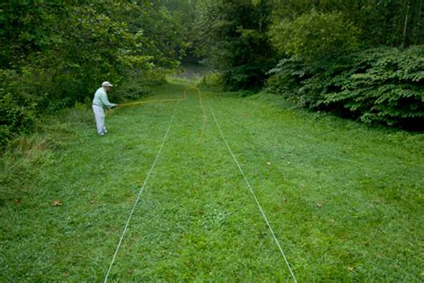 Image result for Single-Hand Fly Cast