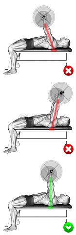 Chest Bench Press - Arms - Video Guide | Lyfta