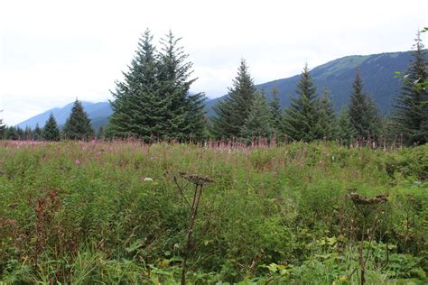 Image result for Inclusive Environment