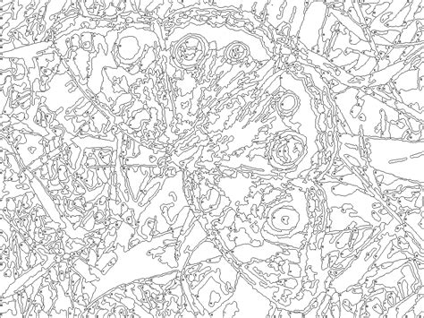 Image result for Adult Coloring Pages by Numbers Printable